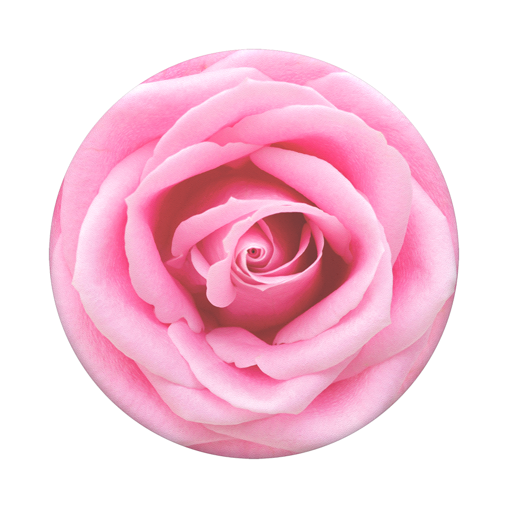 PopSockets Rose All Day as últimas tendências em PopSockets