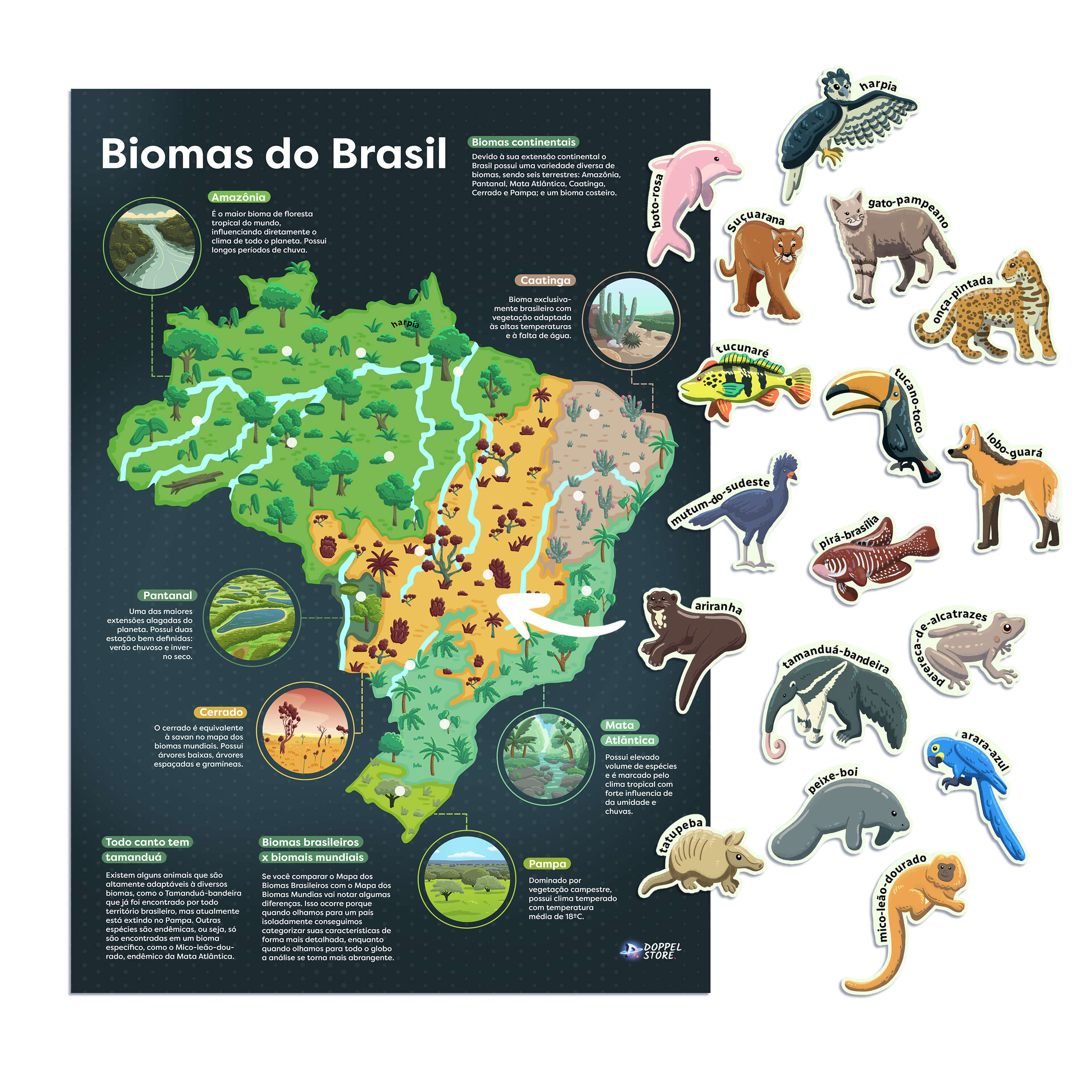Infográfico Interativo Biomas do Brasil