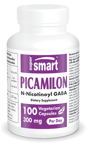 Picamilon, 300mg, 100 cápsulas