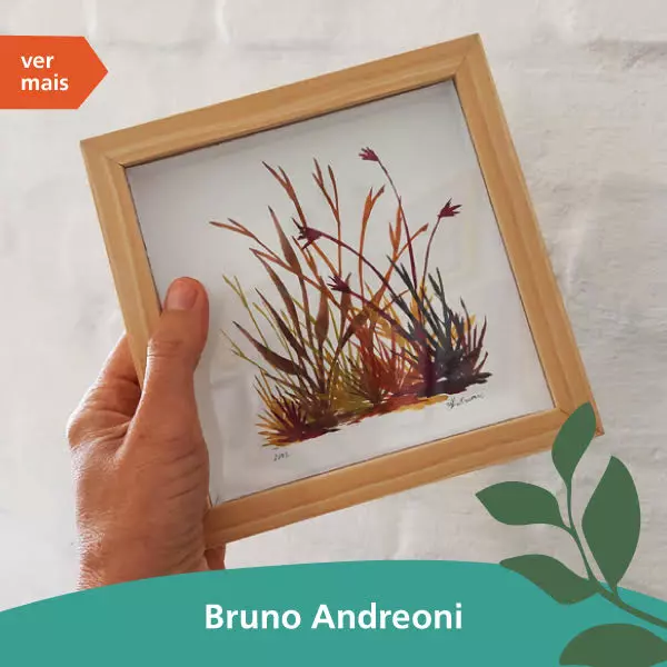 Bruno Andreoni - Quadros e Aquarelas